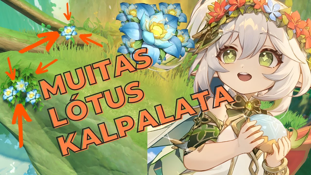 Rota COMPLETA de Lótus Kalpalata | Sumeru - Genshin Impact - YouTube