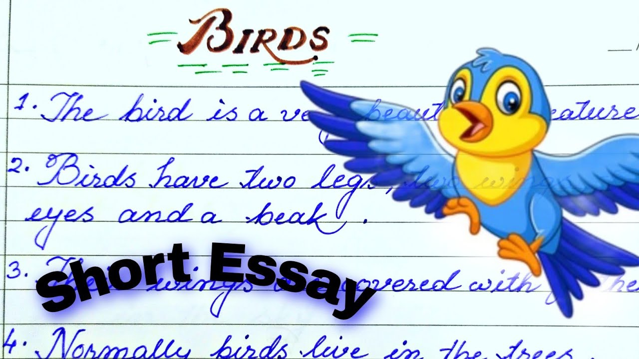 Birds essay in english/10 lines on birds in englis/Essay on birds/Few ...