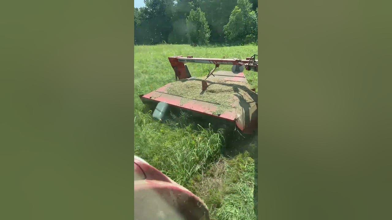Mowing second cutting hay - YouTube