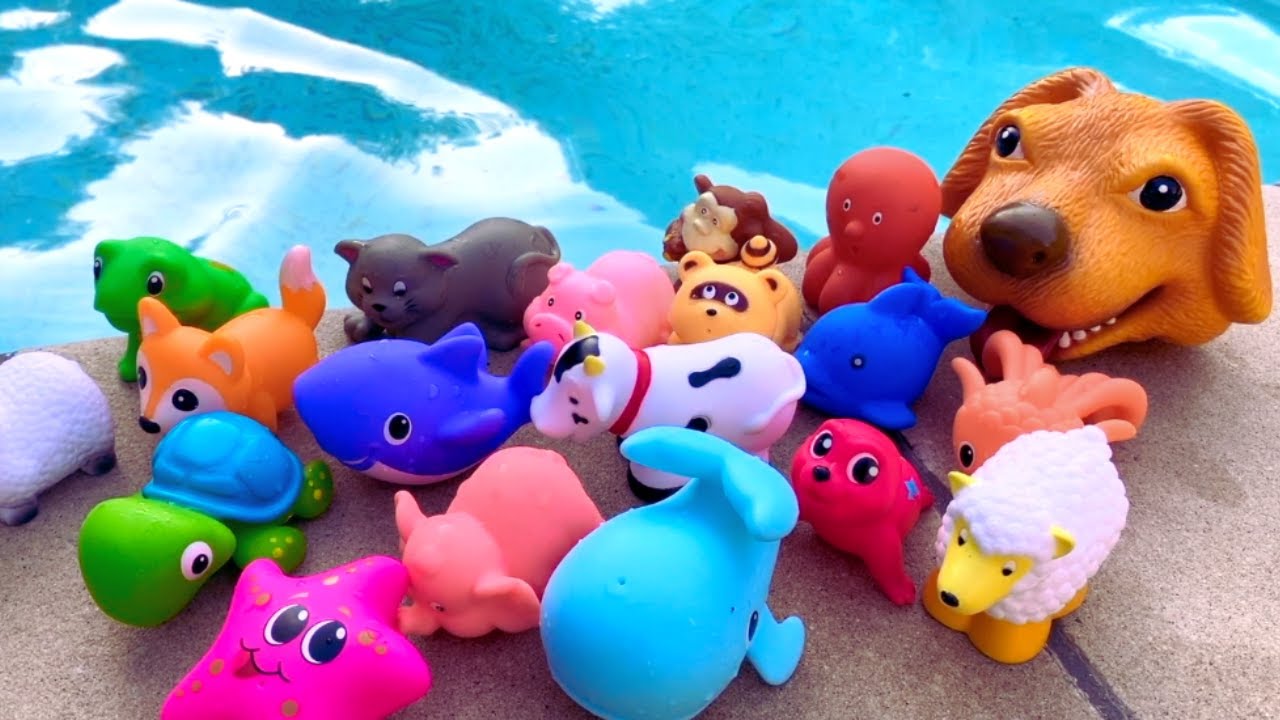 WILD Sea Creatures Take Over The POOL! Learn Names and Sounds! - YouTube