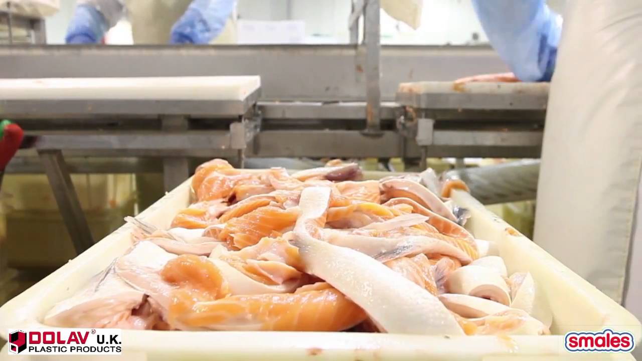 Green Dolavs Help Save Energy Handling Waste Ice - YouTube