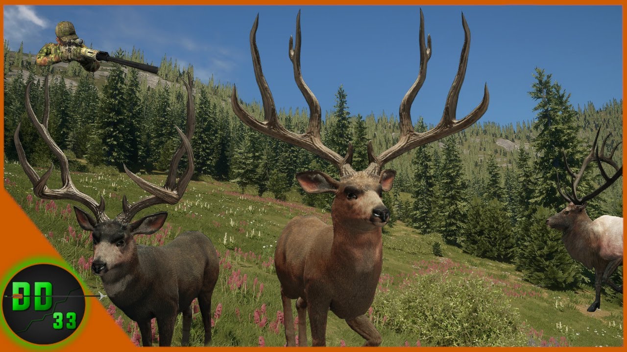 MP Hunting On My Favorite Map Was So Awesome! Call Of The Wild - YouTube