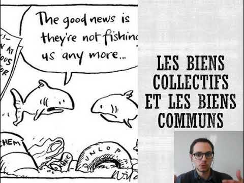 Défaillances de marché (2) - Les biens collectifs et les biens communs ...