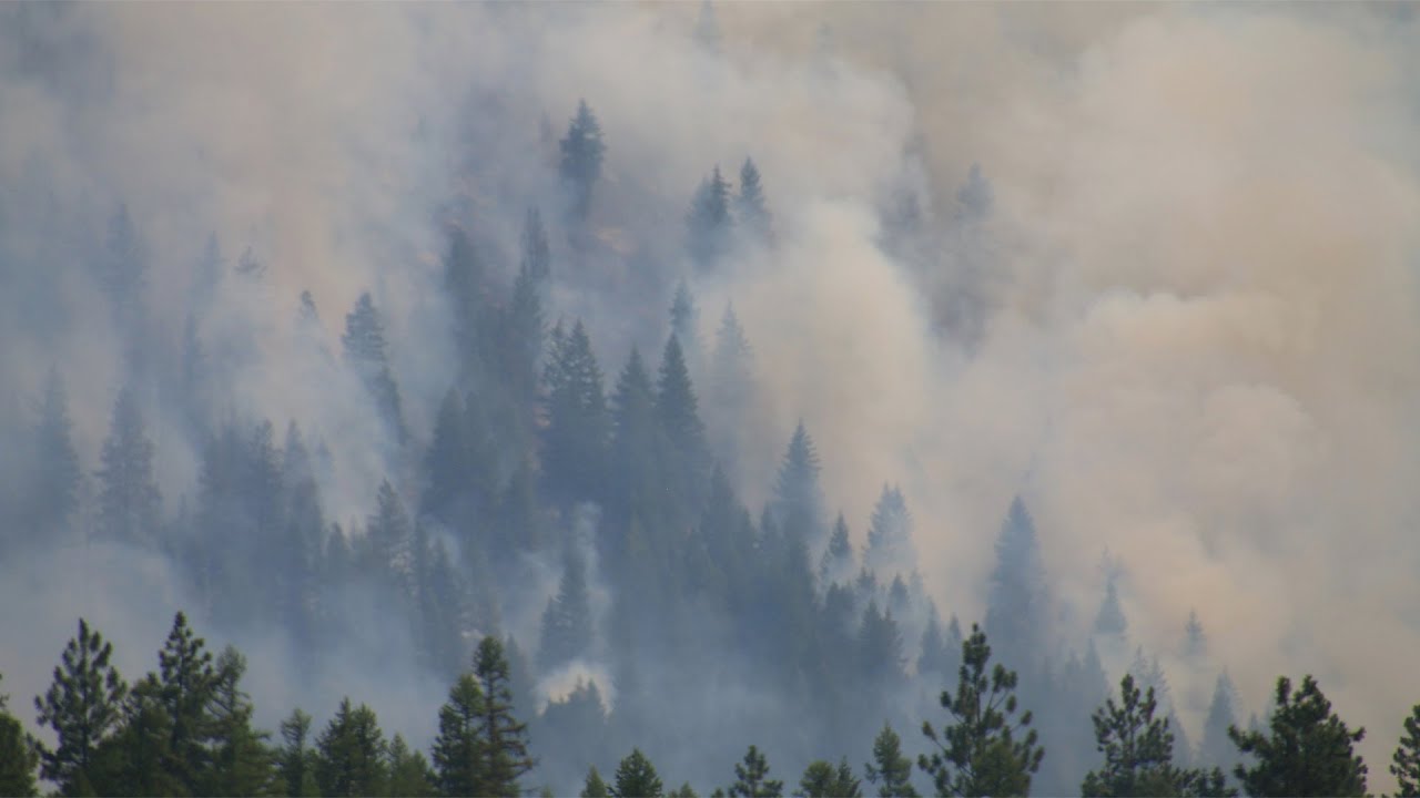 Firefighters work to keep Thorne Creek Fire away from Sanders County ...