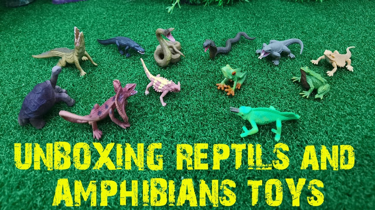 #50 Reptil Toys For Kids, Crocodile, Alligator, Anaconda, Anaconda ...