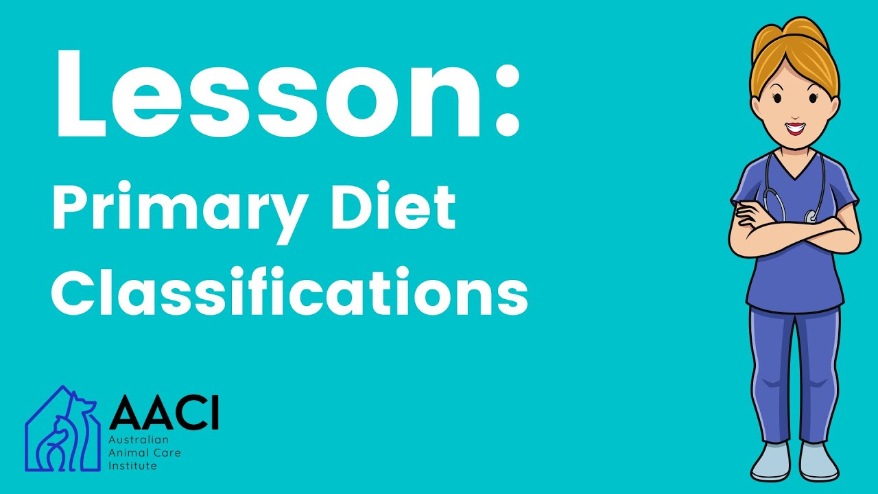 Primary Diet Classifications - YouTube