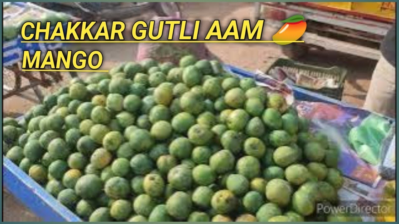 Shakkar gutli Aam 🥭 (Mango)Vlog in Hindi Daily Vlog - YouTube