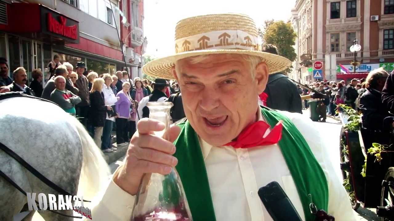 VRSACKA BERBA,GROZDJEBAL 2013 - YouTube