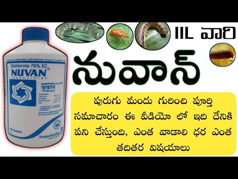 Nuvan insecticide use telugu | nuvana insecticide use cotton | Nuvan ...