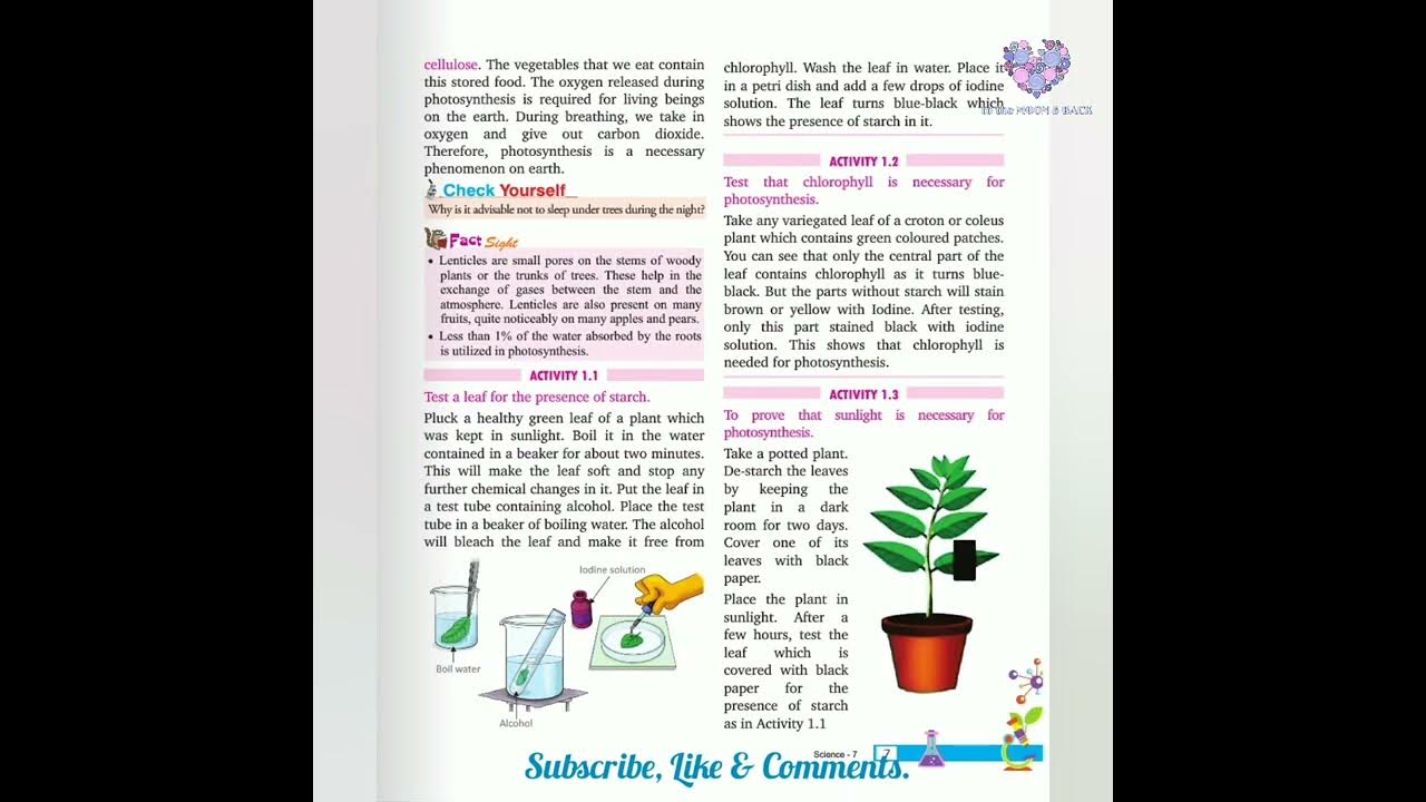 Mittsure E Book Solutions Science Class 07 Chapter 01 mittsure-e-book-solutions-science-class-07-chapter-01