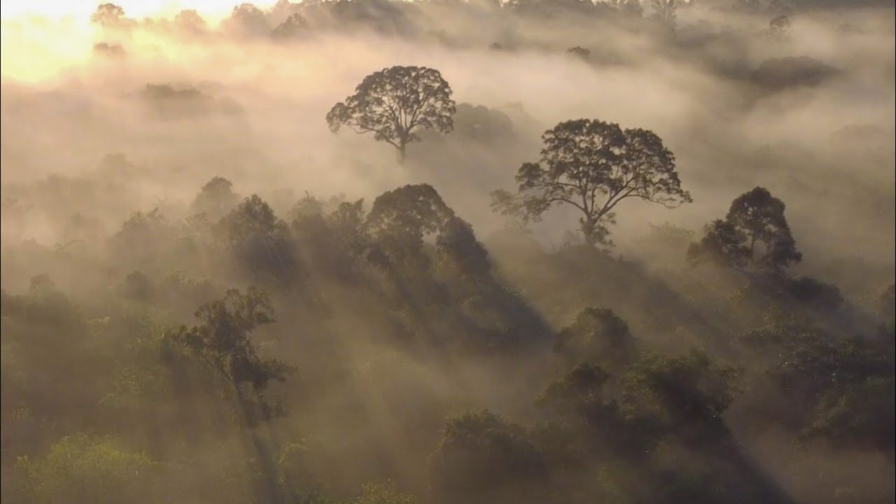 Good Morning | Sun Rays Cinematic Video - YouTube