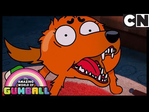 Gumball Türkçe | Başımdaki Dert | Çizgi film | Cartoon Network Türkiye