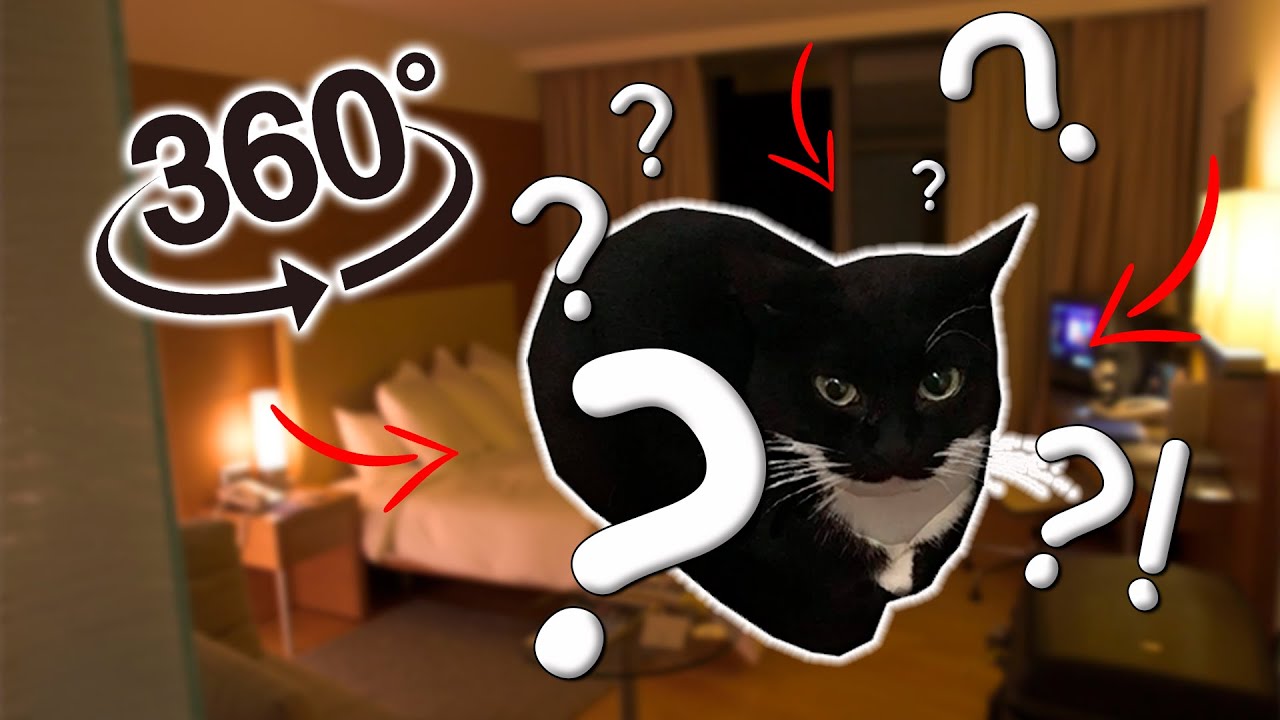 Maxwell the cat 360° | Can you find? #2 - YouTube