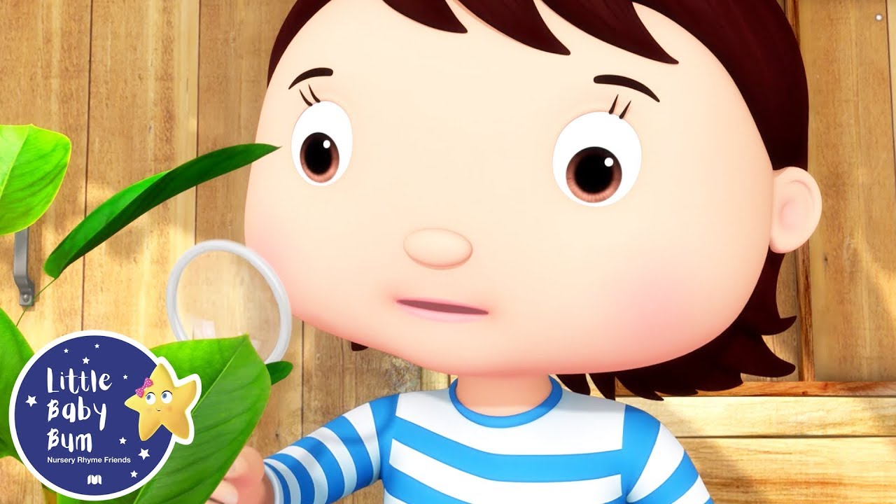 Count To 20 Song Baby Cartoons And Kids Songs Little Baby Bum YouTube count-to-20-song-baby-cartoons-and-kids-songs-little-baby-bum-youtube