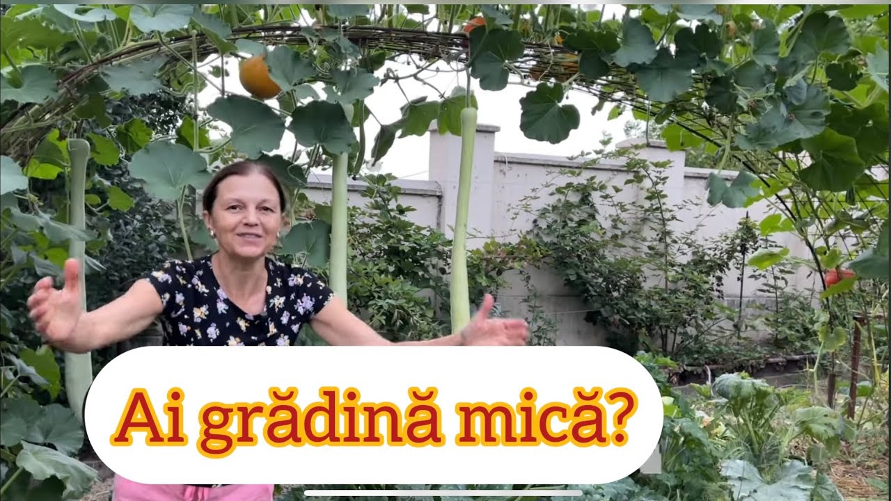 Dubleaza recolta cu o constructie simpla ! DIY - YouTube