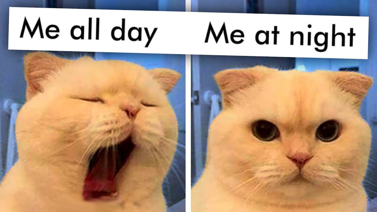 memes i found in the 1851 gold rush - YouTube