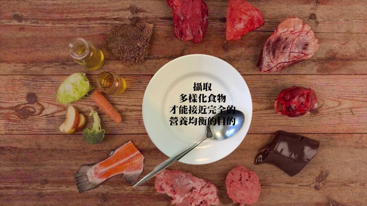 藉由多種食材達到營養均衡｜Dr.B's BARF 逗奇 - YouTube