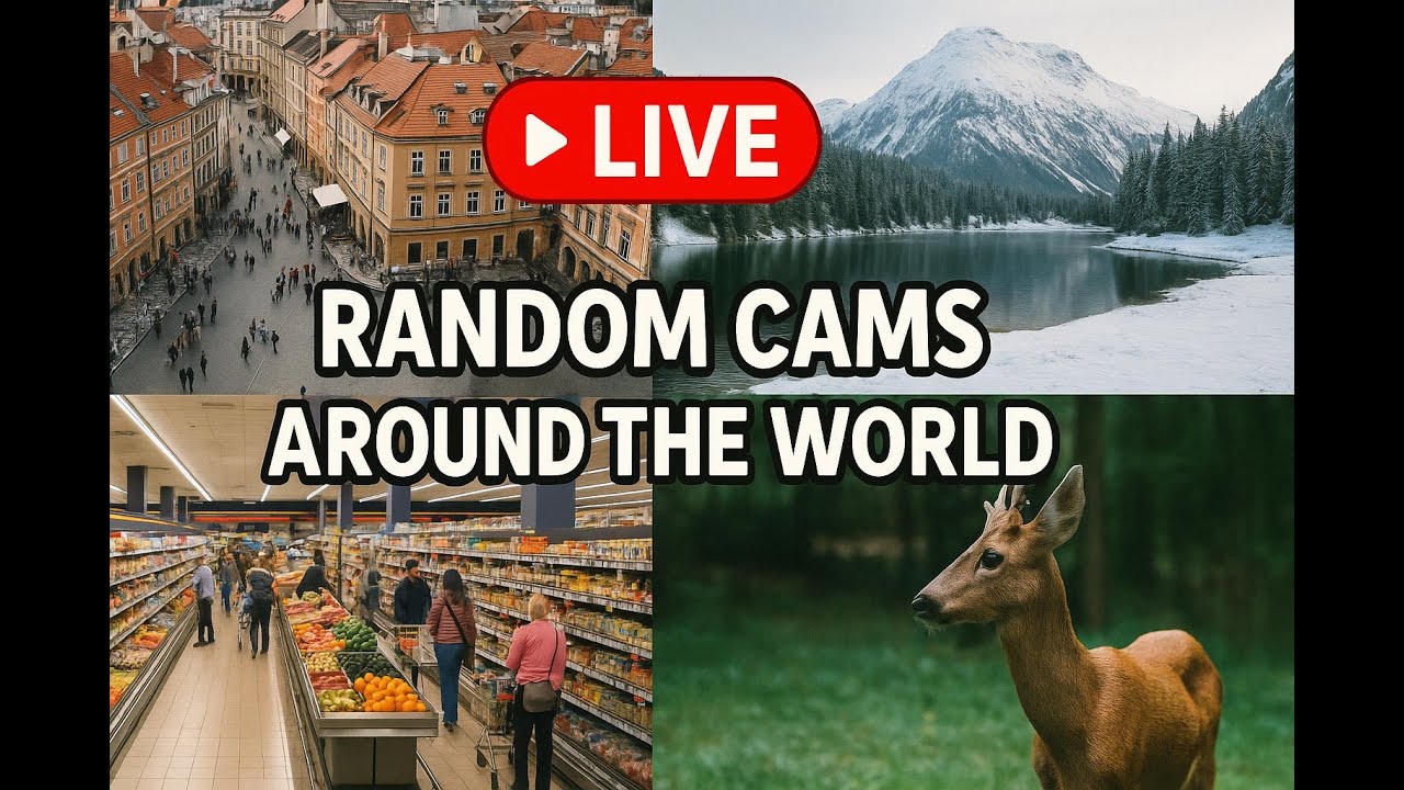 🌍 LIVE: Watch Random Cams Around the World – Cities, Nature, Animals ...