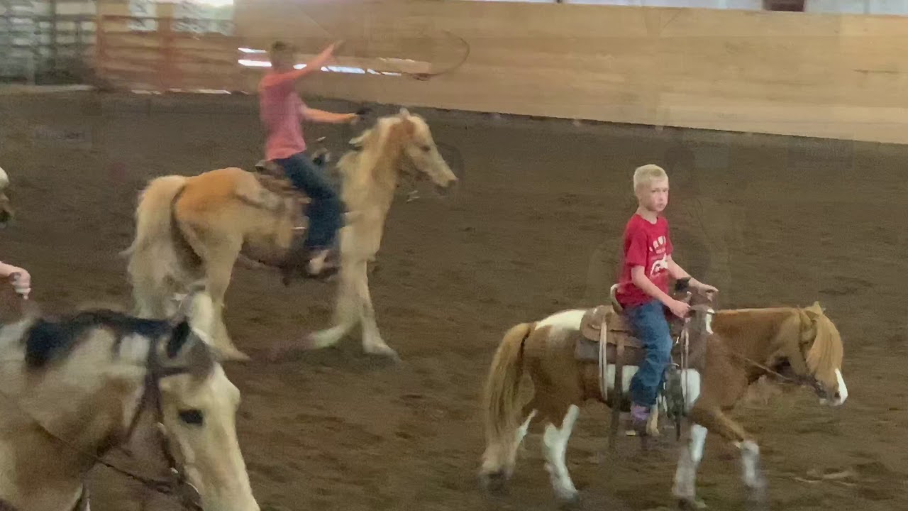 Walk/Trot/Lope/Swing Rope with “Kindle” - YouTube