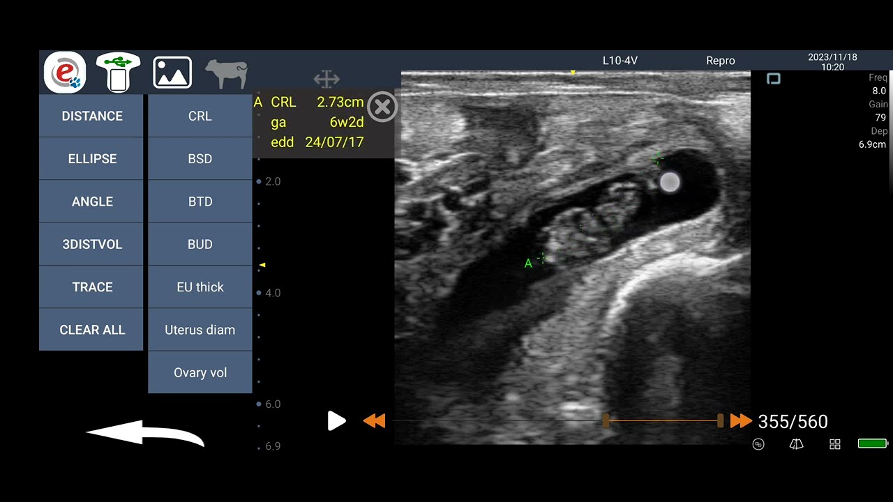 牛胎児CRL（頭殿長）を用いたGA（妊娠期間）の診断とEDD（分娩予定日）予測~Diagnosis and prediction of GA ...