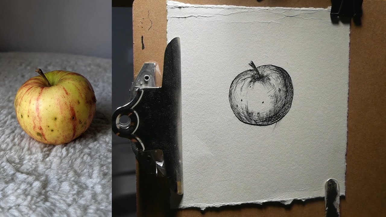 Hatching an Apple in Ink - YouTube