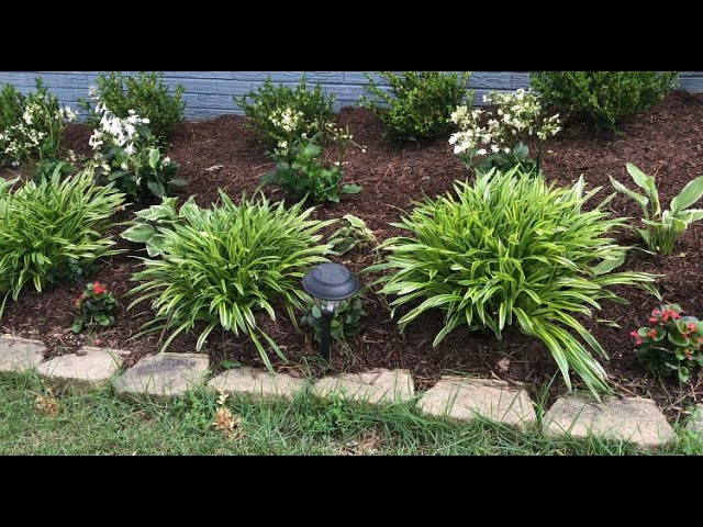 Hosta And Boxwood Landscaping