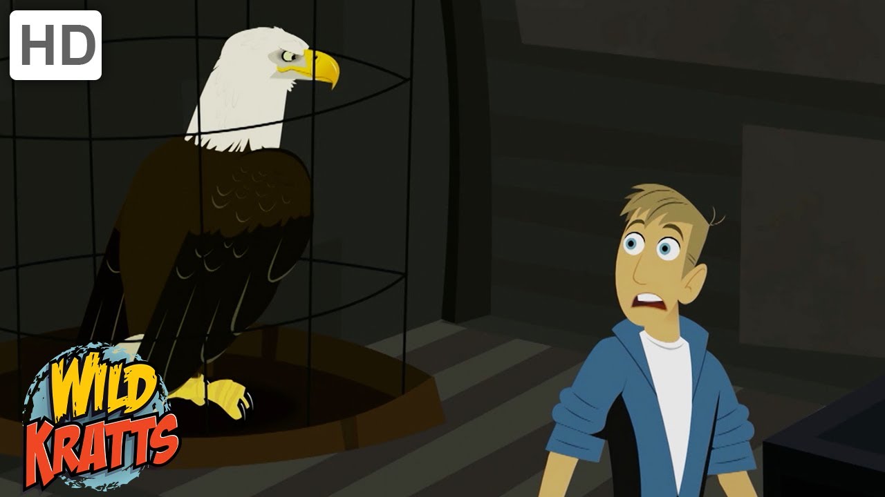 The Best Creature Rescues! | Amazing Animal Rescues! [Full Episodes ...