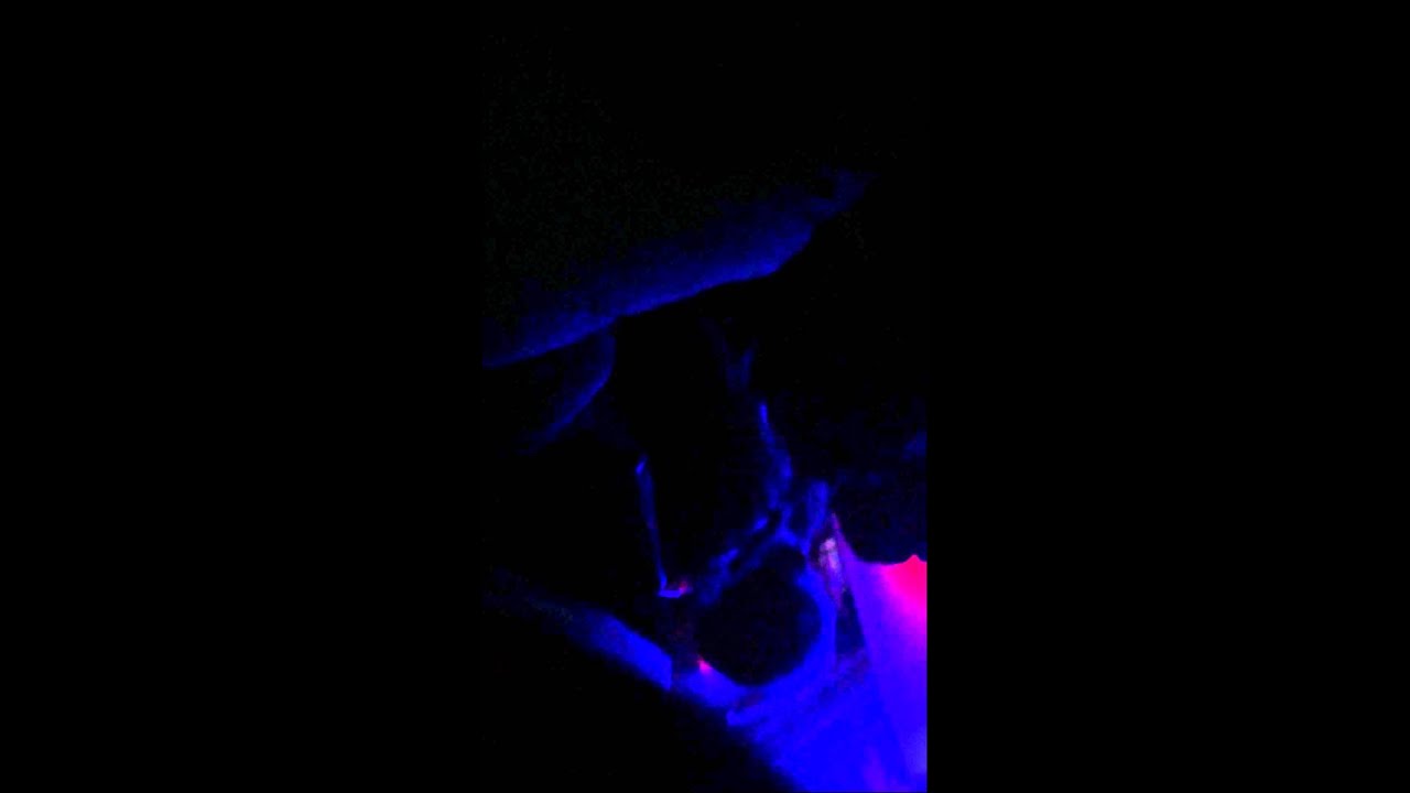 Partynextdoor - Plenty - Unreleased Song - PND Live Tour - YouTube