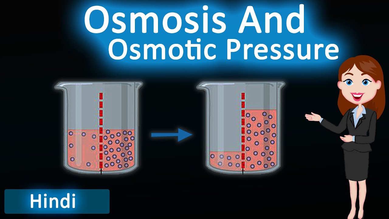 Osmosis And Osmotic Pressure 3D Animated Explanation Class 12th osmosis-and-osmotic-pressure-3d-animated-explanation-class-12th