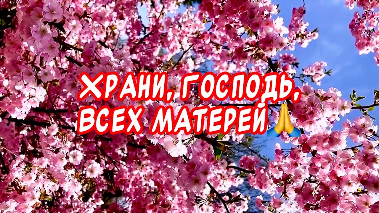 Красивое поздравление С днем матери Храни Господь всех матерей🙏