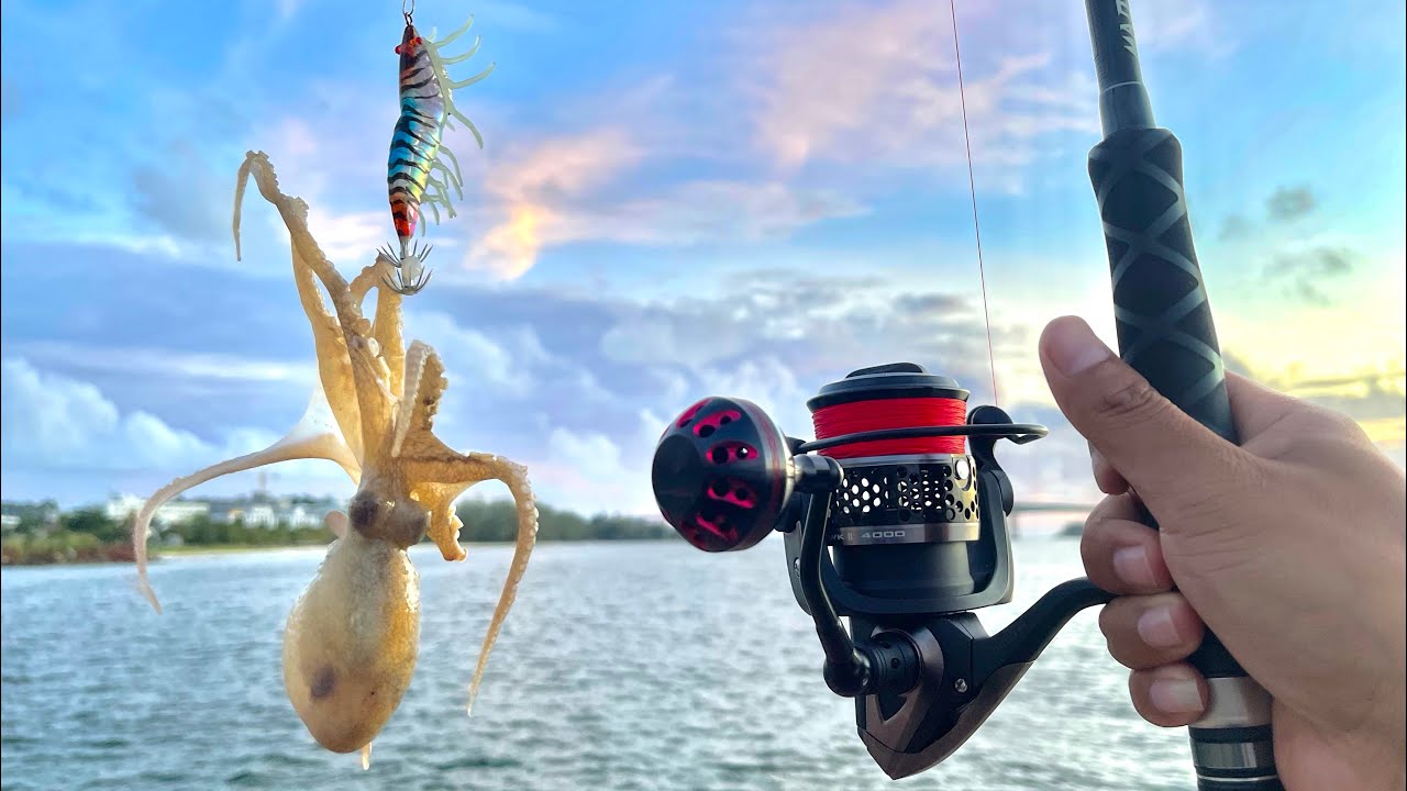 Catching Octopus | ស្ទូចមឹកពីងពាង - YouTube