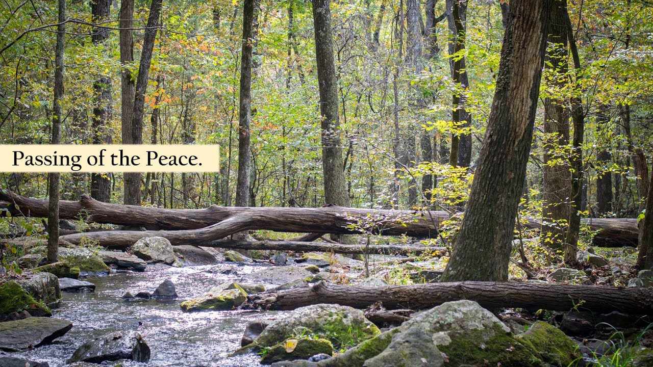Passing of the Peace 11.22.20 - YouTube