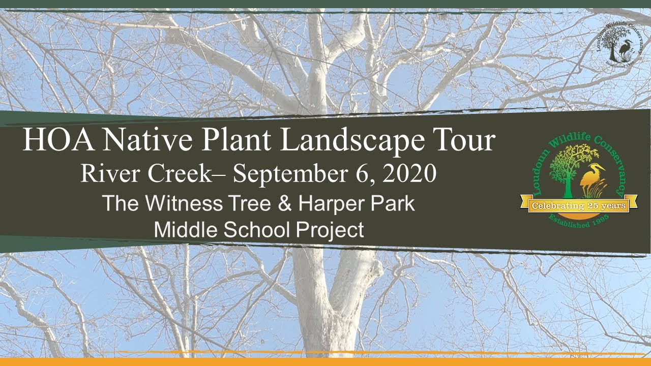 Harper Park Middle School Event and Witness Tree with Harrison Crecraft ...
