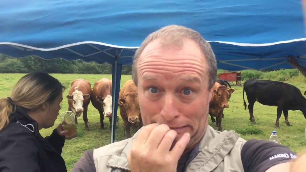 Fifty Shades Of Stephen Grey - YouTube