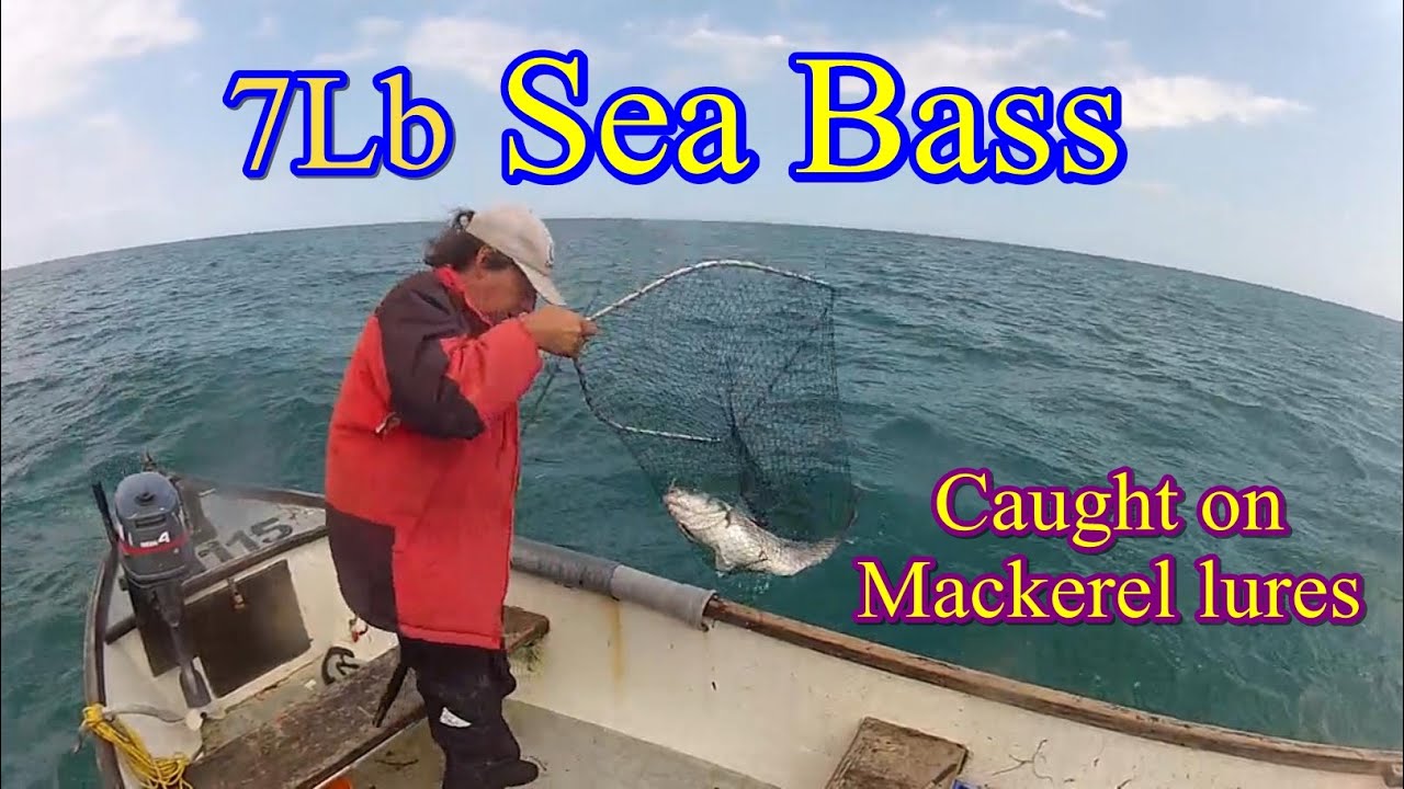 7Lb Bass on Mackerel Lures - YouTube