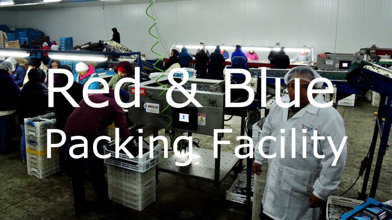 Red and Blue Packing - YouTube