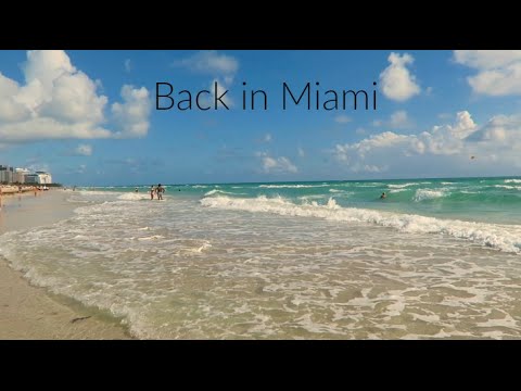 Back in Miami - YouTube
