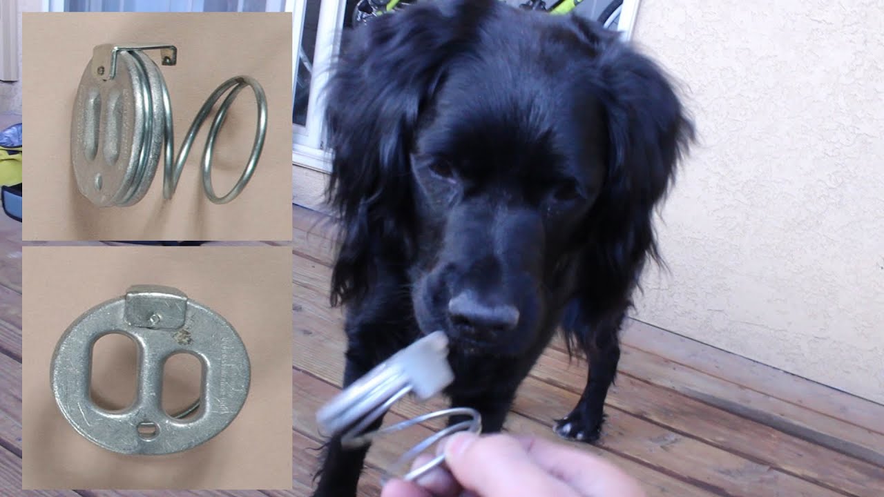 Salewa Sticht Plate with spring belay device - old school! - YouTube