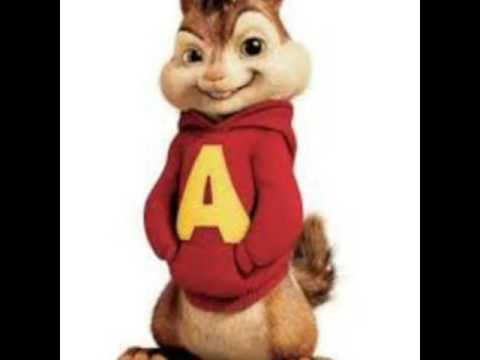 Aşk Bodrumda Alvin Ve Sincaplar