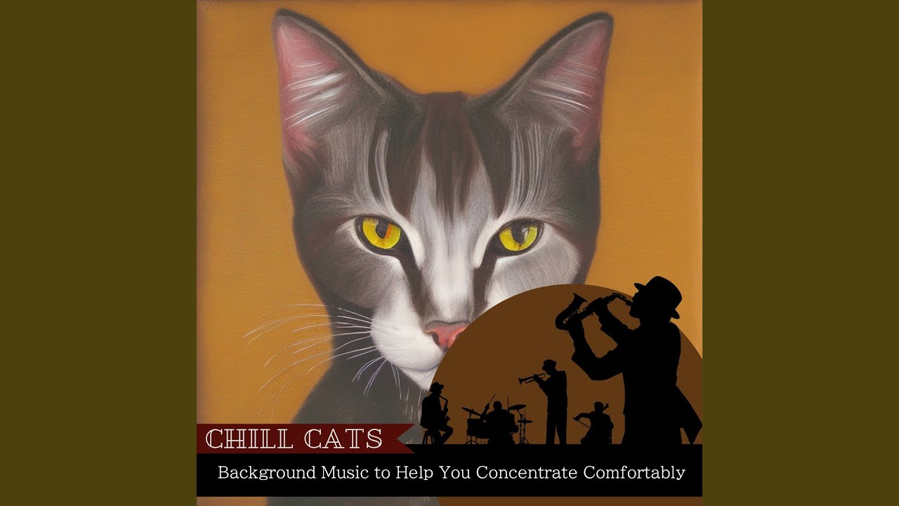 Dinner Break - YouTube