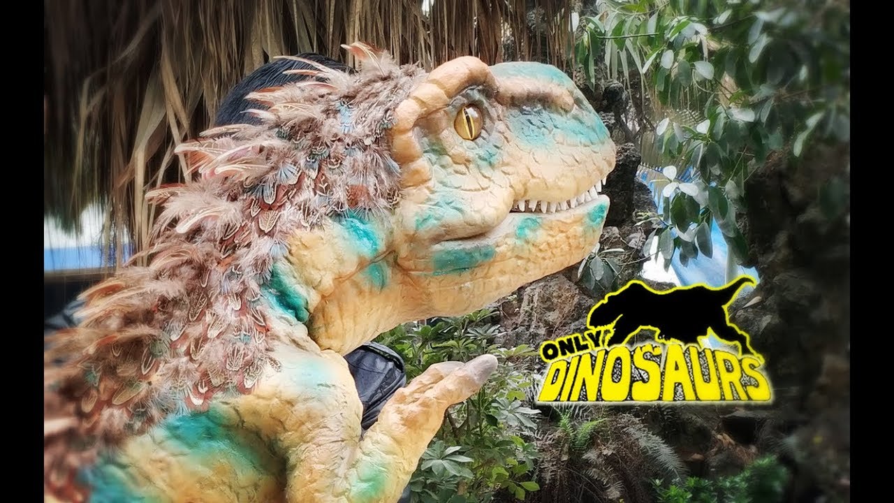 Feathered Baby T rex Puppet - YouTube