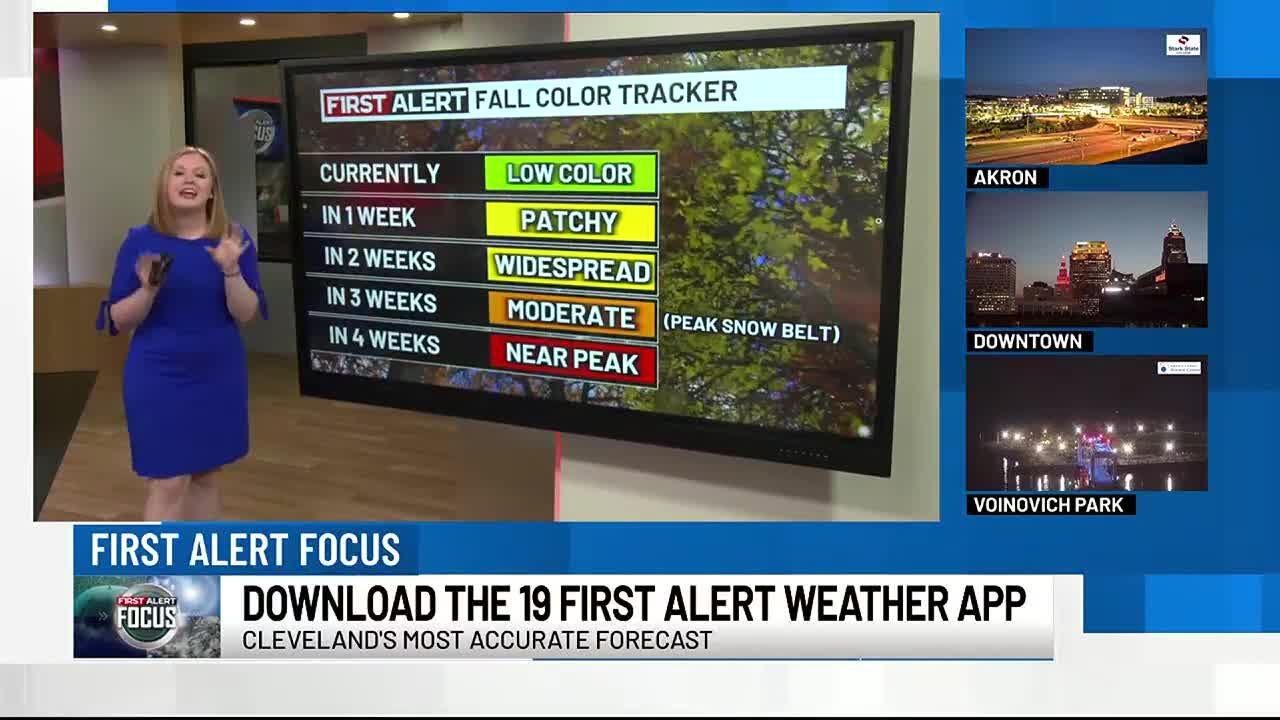 First Alert Focus: First Freeze - YouTube
