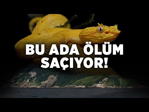 Bu ada ölüm saçıyor!