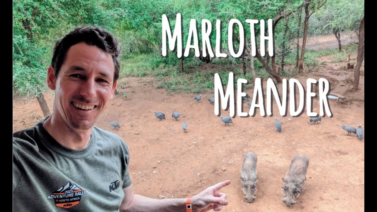 Marloth Meander, Marloth Park - YouTube