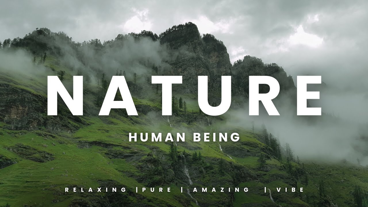 Why is Nature Important? - YouTube