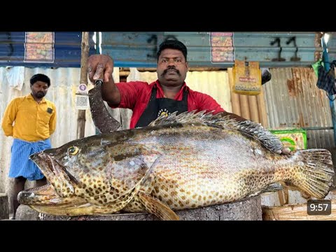 🐟 Cutting a 10KG Giant KALAVA Fish at Kasimedu | 🔪 Selvam’s Expert ...