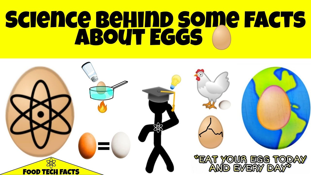 Science behind some facts about Eggs 🥚 | Eat your egg today and ...