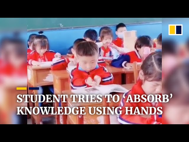 Kid Absorbing Knowledge Gif