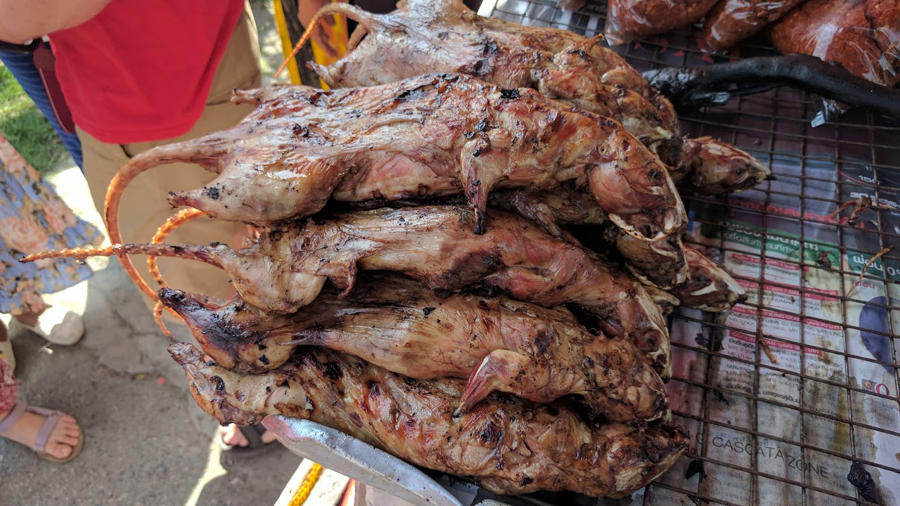 Rat-on-a-stick | Wikipedia audio article - YouTube