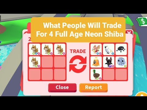 What People Will Trade For 4 Neon Shiba Inu ( Adopt Me Trading ) - YouTube